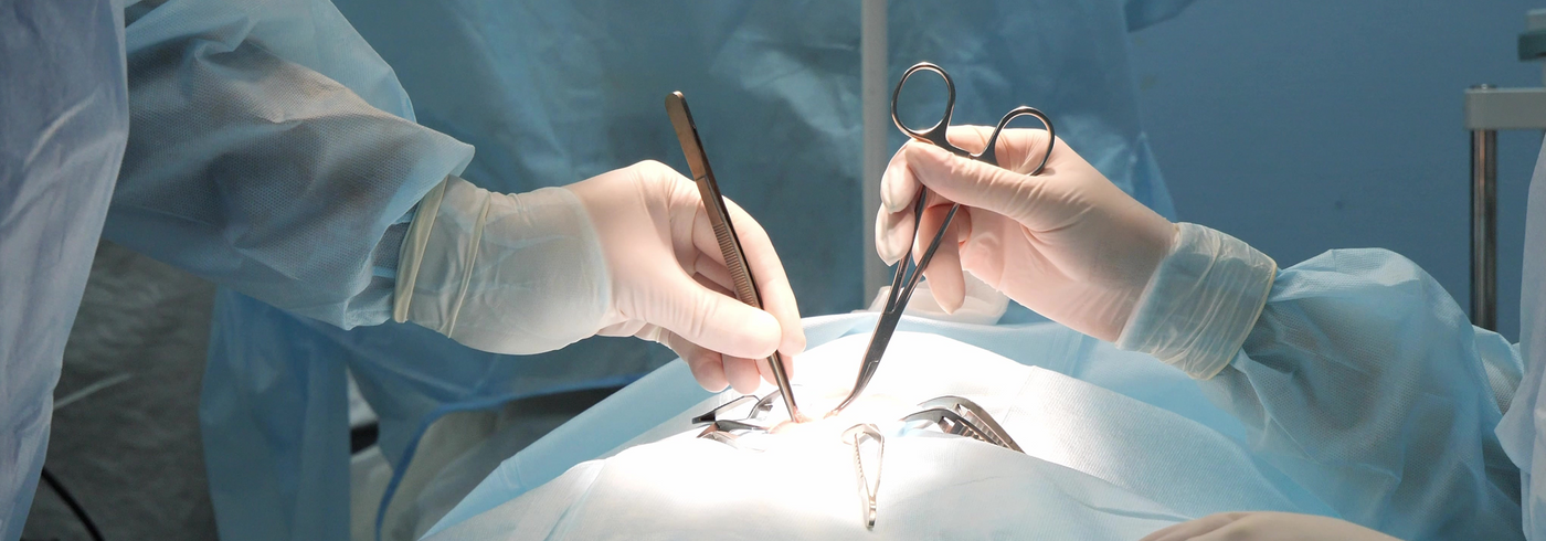 RICA Animal Health | Quality Veterinary Surgical Instruments